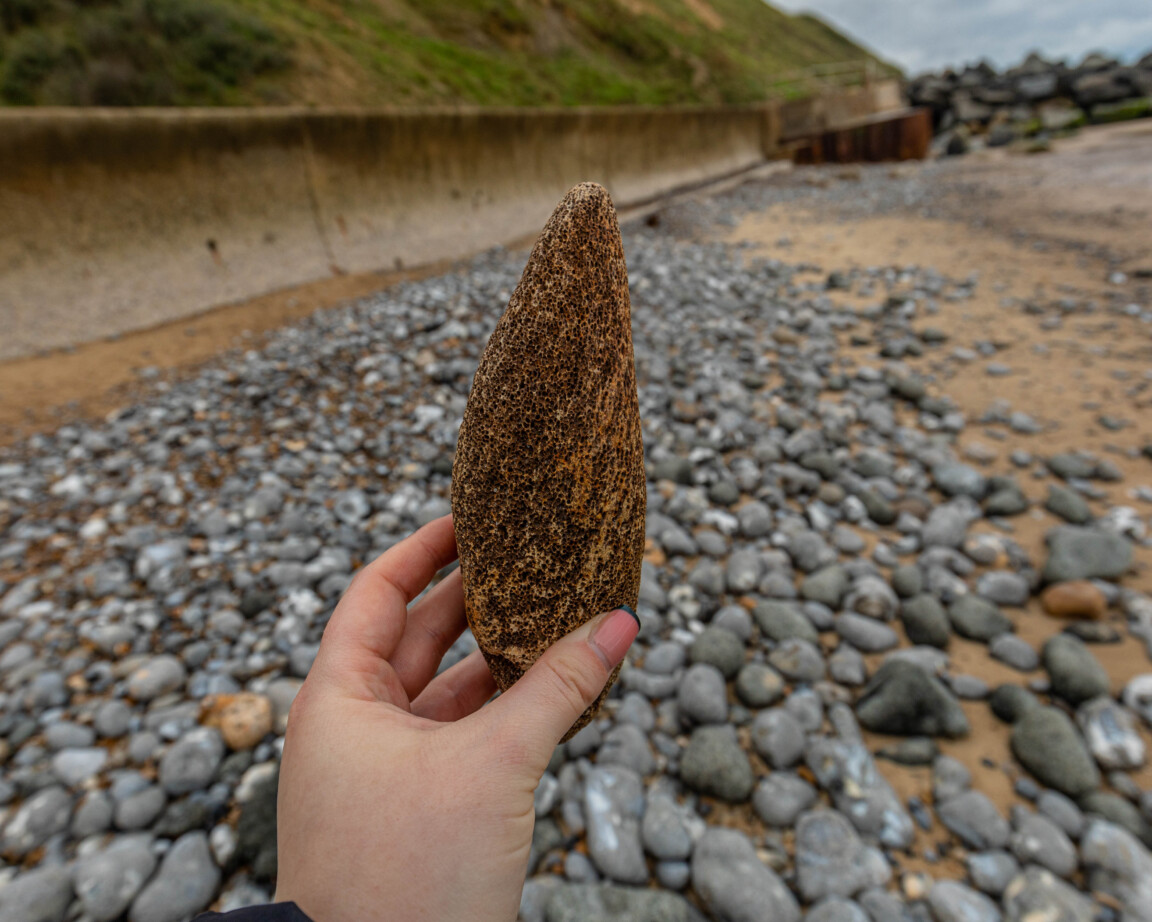 Top 5 | Fossil hunts | Top 5 Things To Do | Norfolk Passport