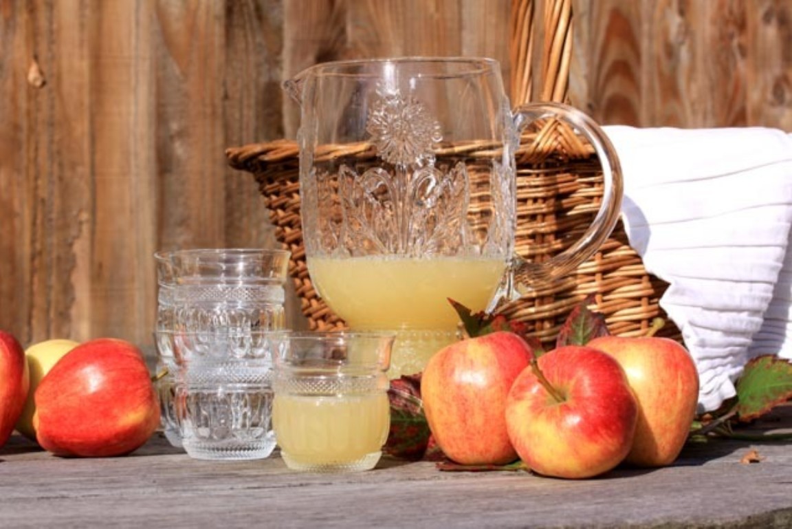 Top 5 | Fruitful foraging | Top 5 Things To Do | Norfolk Passport