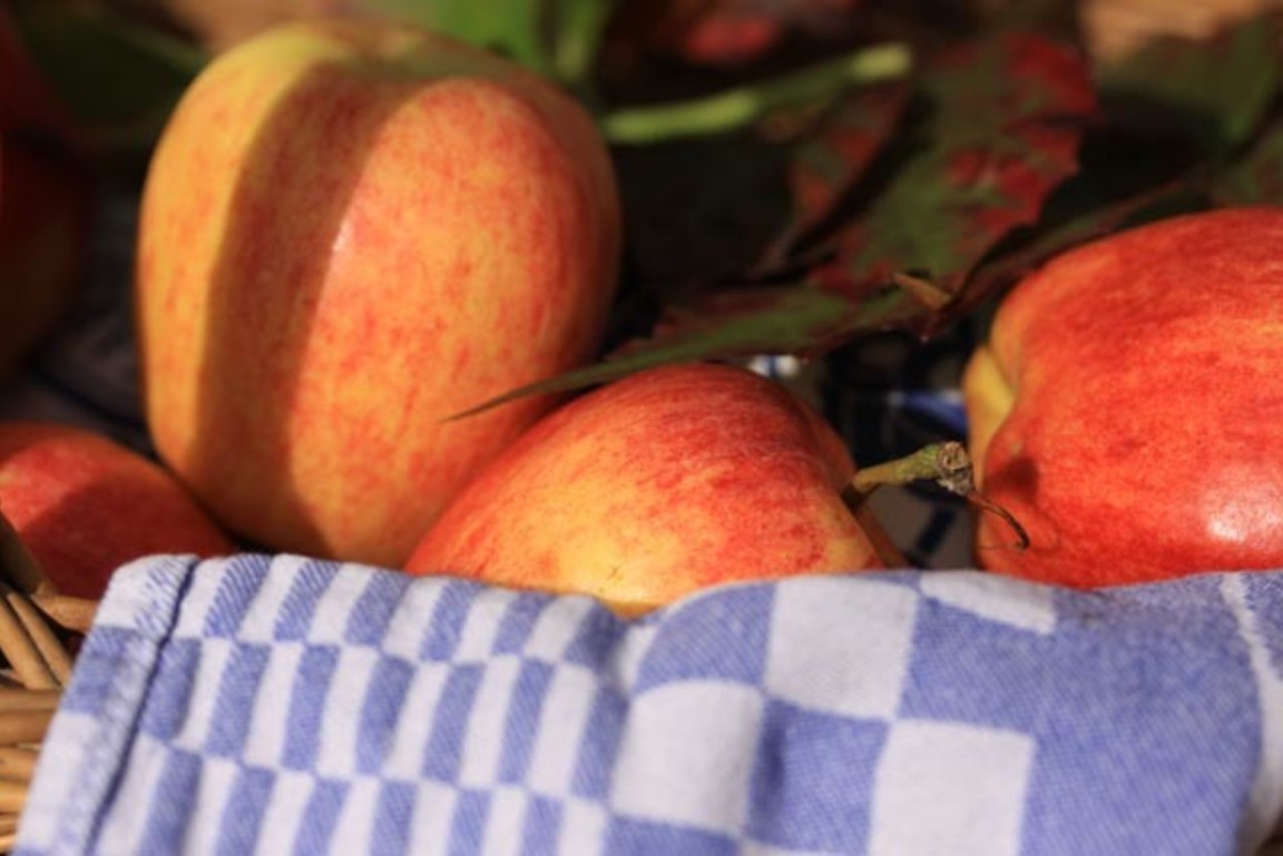 Top 5 | Fruitful foraging | Top 5 Things To Do | Norfolk Passport