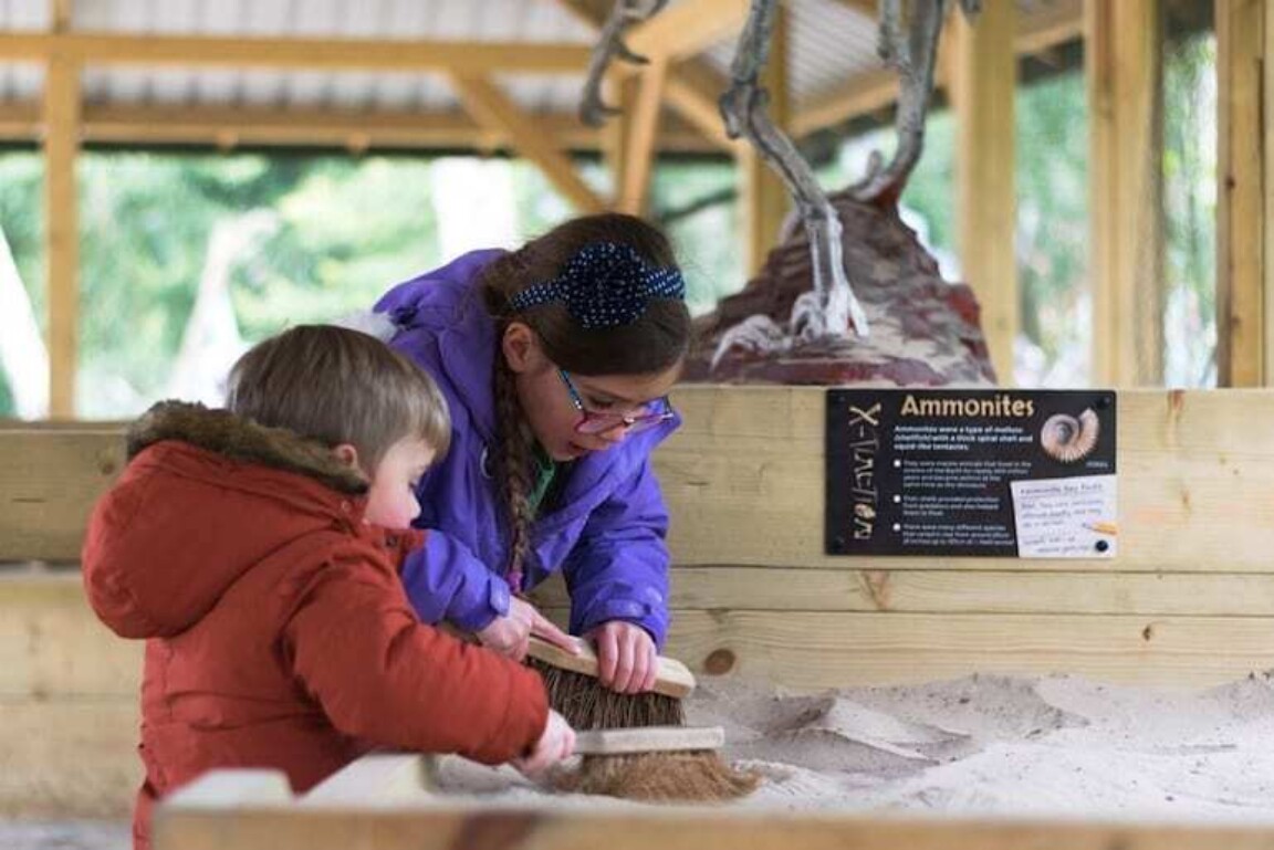 Top 5 | Fossil hunts | Top 5 Things To Do | Norfolk Passport