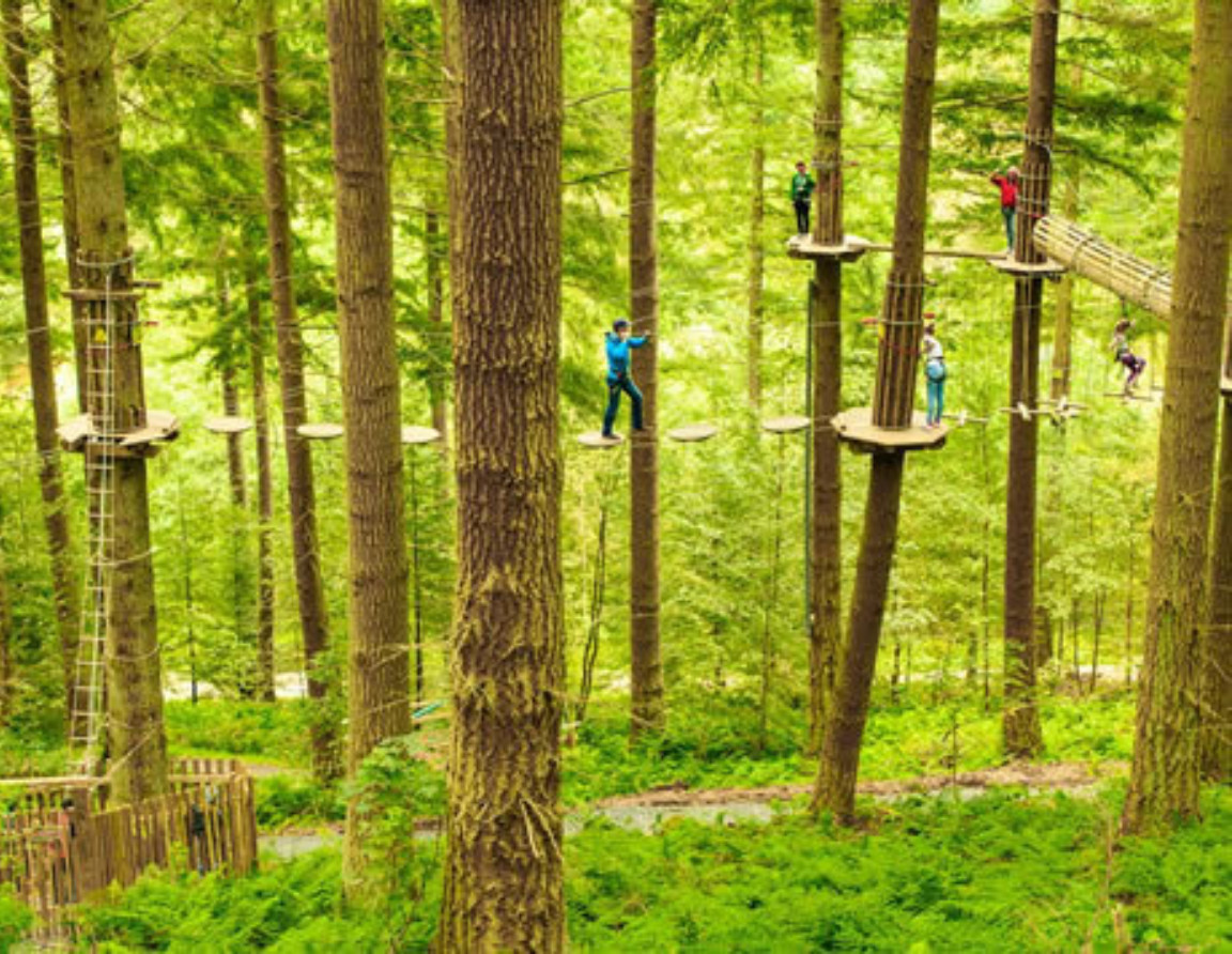 Top 5 | Woods | Top 5 Things To Do | Norfolk Passport