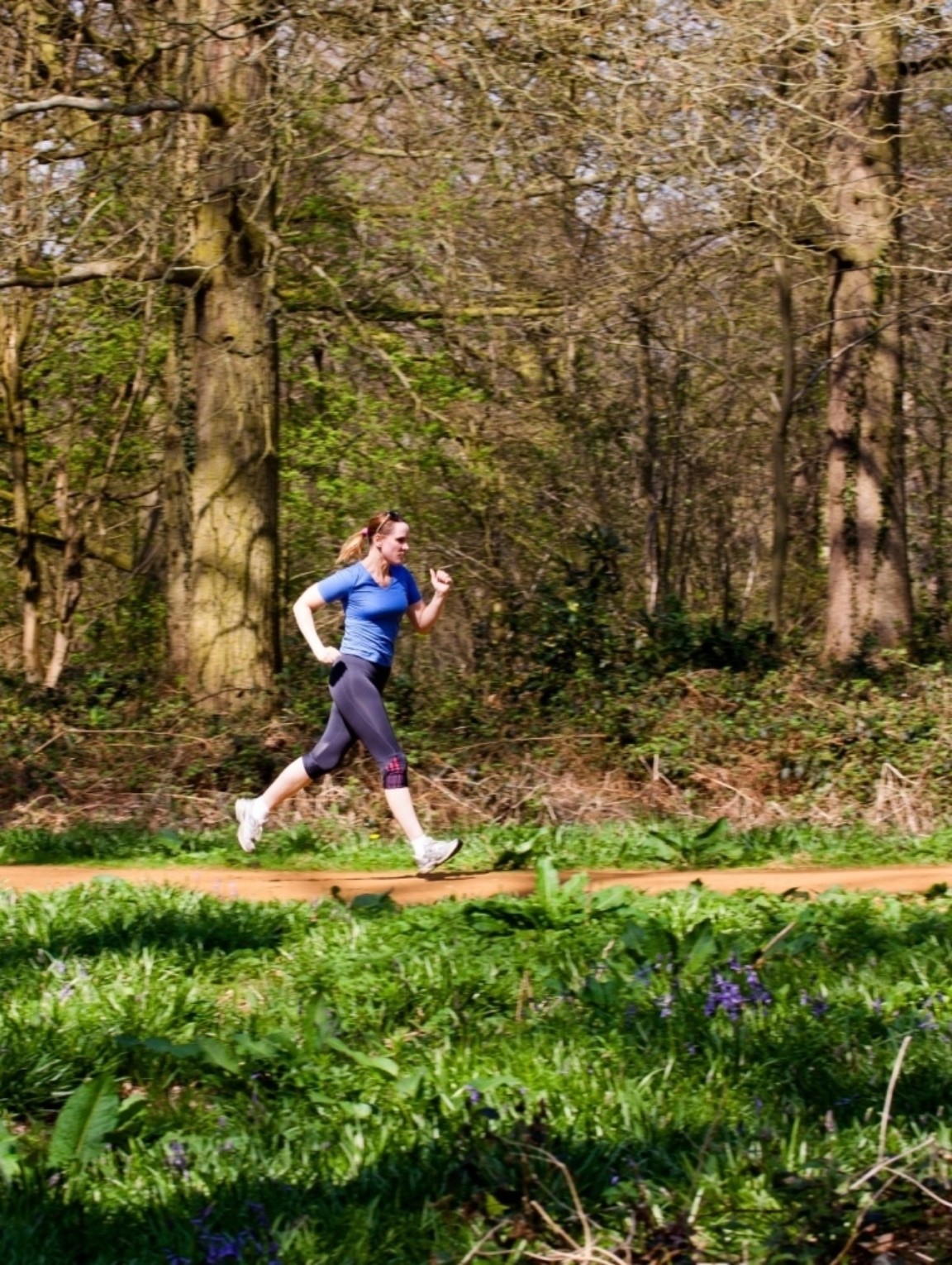 Top 5 | Sports in Norfolk | Top 5 Things To Do | Norfolk Passport