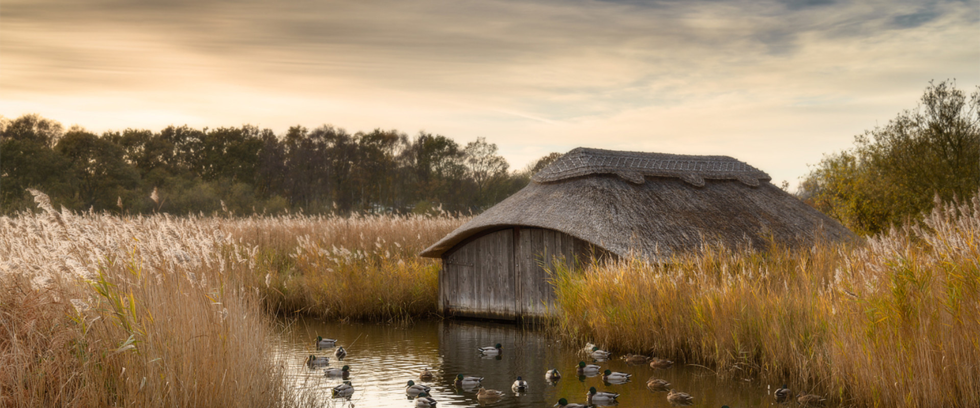 Top 5 | Norfolk Broads | Top 5 Things To Do | Norfolk Passport